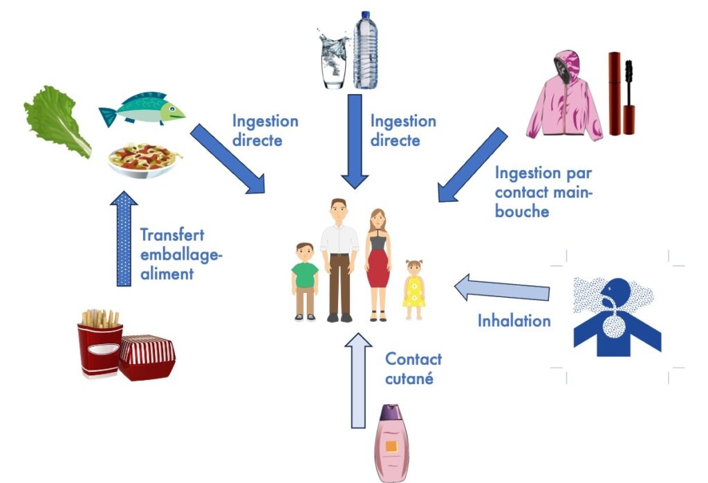 Les PFAS : avantages éphémères et soucis éternels